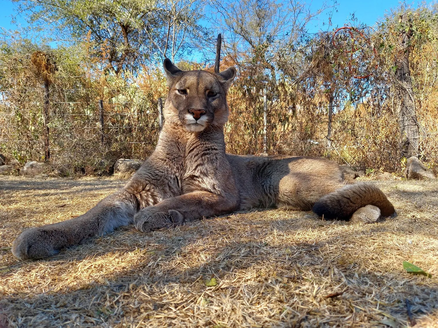 El rol clave de las reservas naturales privadas en la conservación de ...